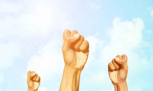 Trade Unions | Mauritius Trade